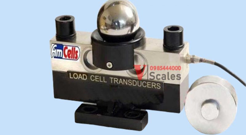 Cân điện Tử Amcells USA Mỹ | Việt Scales 0985444000